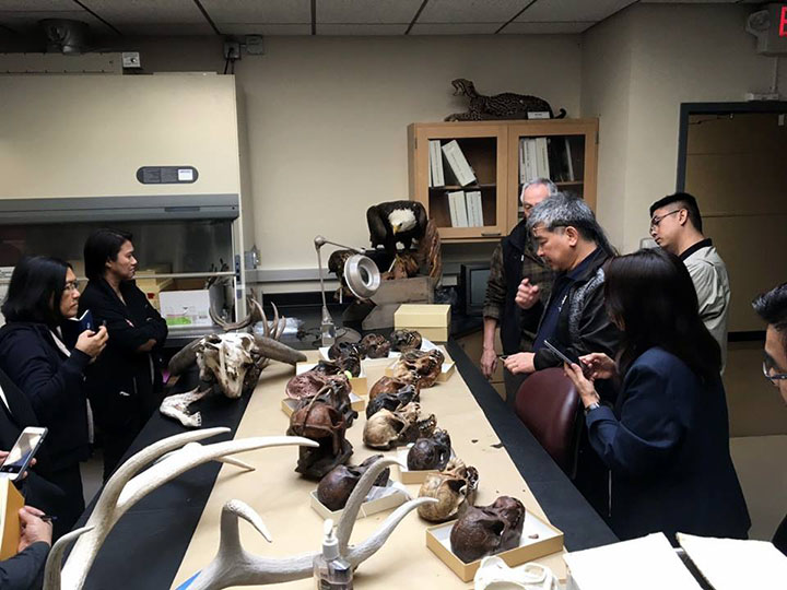 Experts: Forensic science ‘a must’ to combat illegal wildlife trade ...