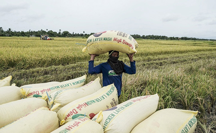 FAO: Actions now to feed the world and save the planet | BusinessMirror