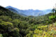 Apayao, a PHL eagle stronghold, chosen as Unesco Biosphere Reserve ...